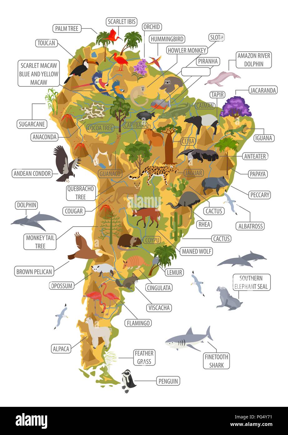 Mapa de la flora y fauna de america -Fotos und -Bildmaterial in hoher ...