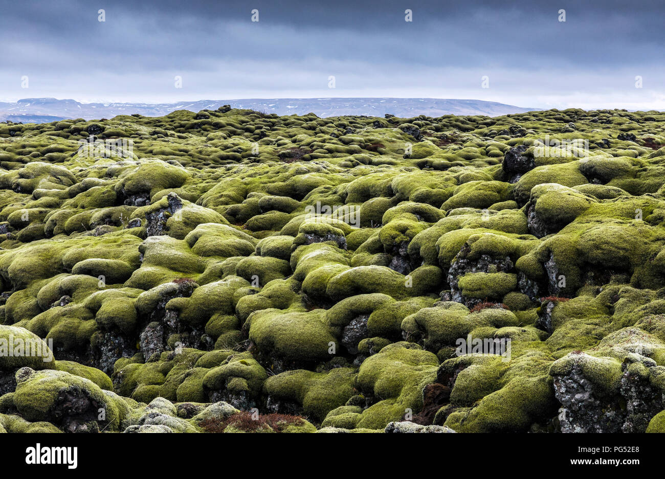 Felsen Mit Moos Stockfotos und -bilder Kaufen - Alamy