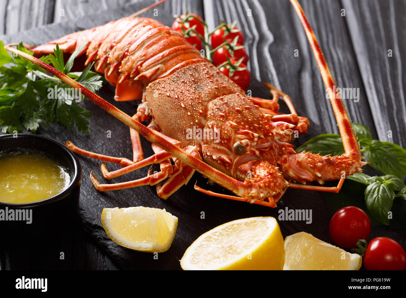 Langouste dish -Fotos und -Bildmaterial in hoher Auflösung – Alamy
