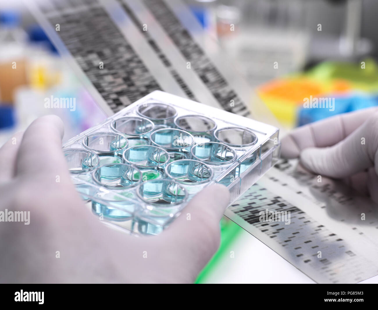 Dns Genetisch Stockfotos und -bilder Kaufen - Alamy