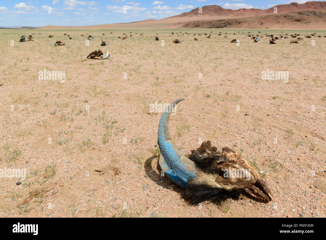 Kopf abgehackt -Fotos und -Bildmaterial in hoher Auflösung – Alamy