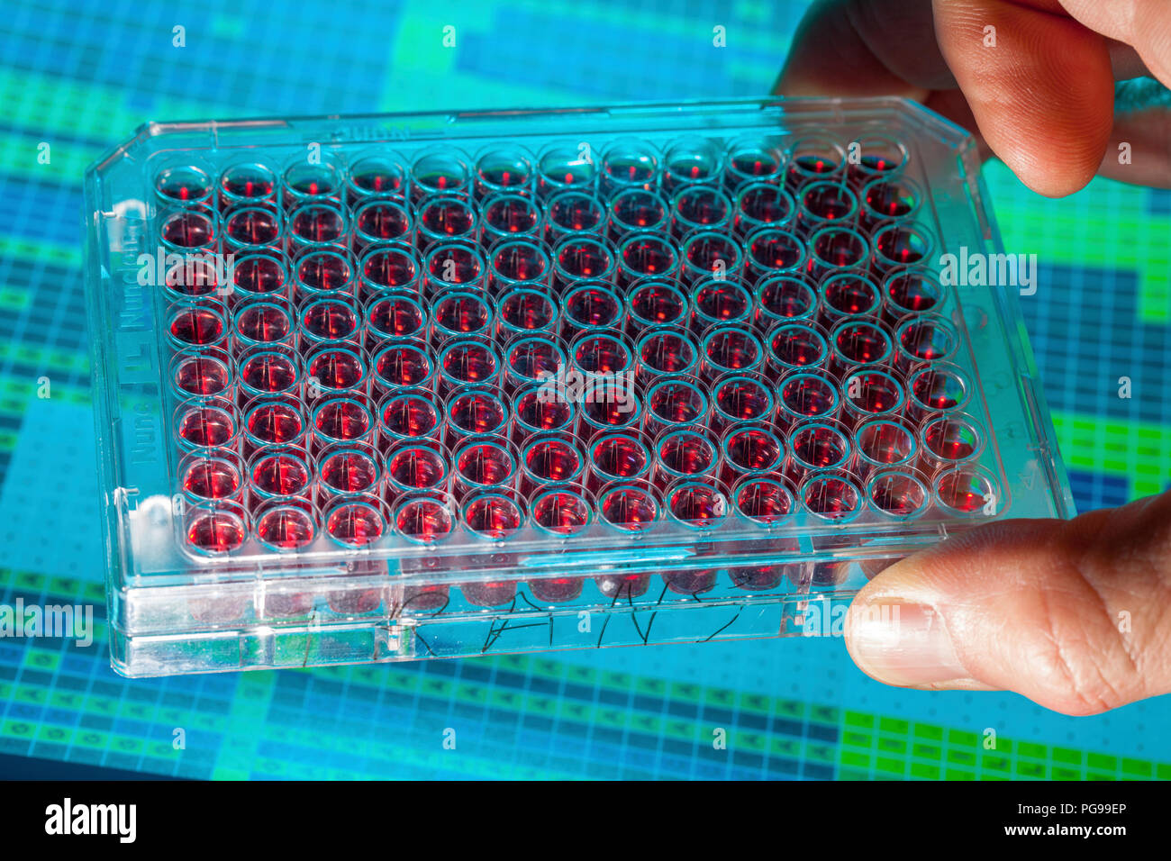 Microtiter plate -Fotos und -Bildmaterial in hoher Auflösung – Alamy