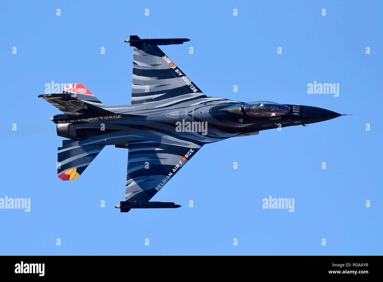 Die belgische Luftwaffe General Dynamics F-16 kämpfte gegen Falken ...