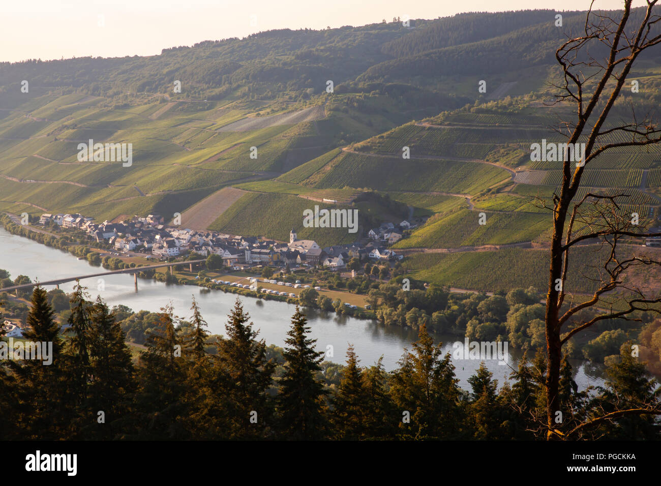 Kinheim -Fotos und -Bildmaterial in hoher Auflösung – Alamy
