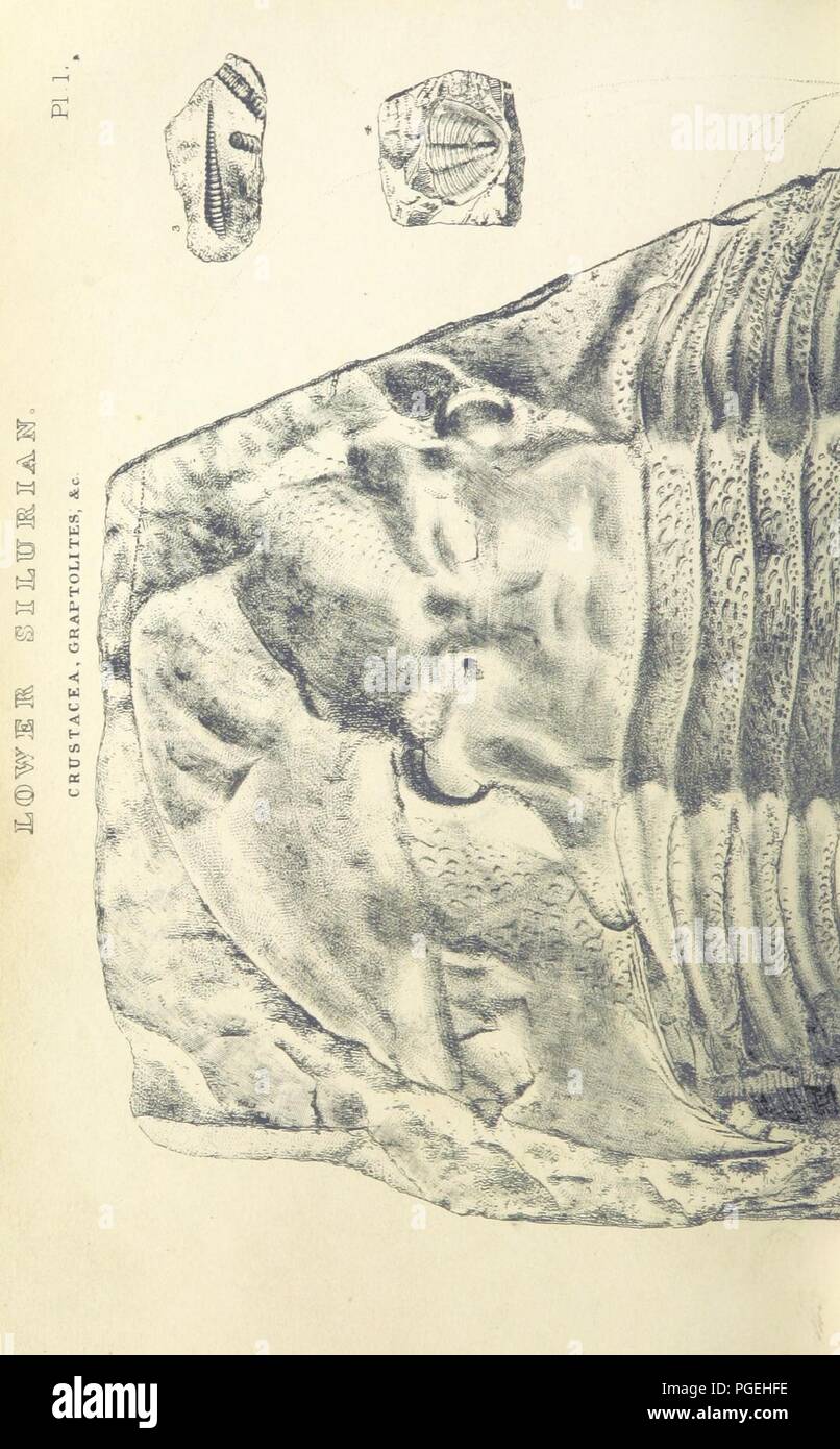 Bild von Seite 600 von '[Siluria. Die Geschichte der ältesten bekannten ...