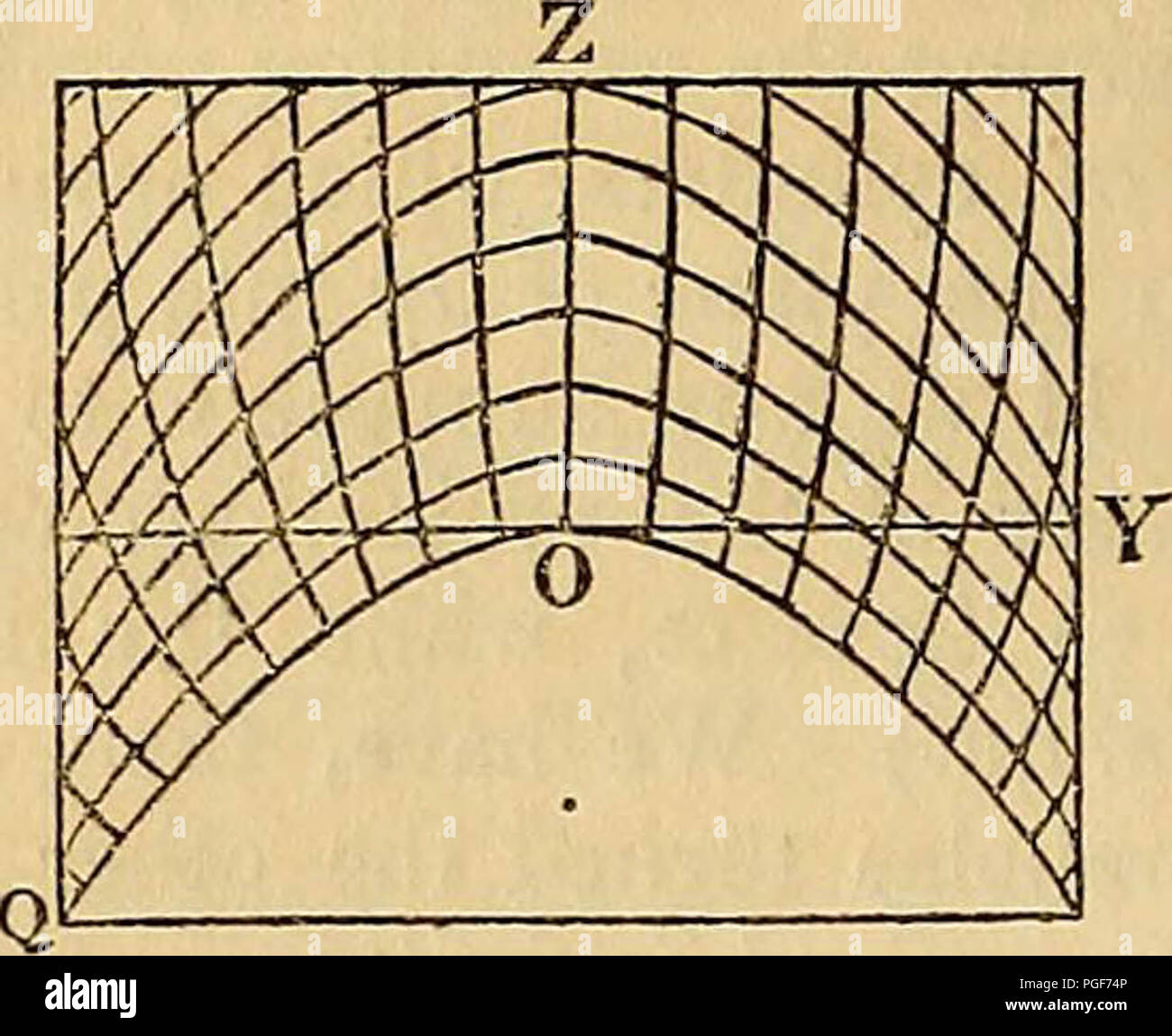 : Die Differential- und Integralrechnung, mit Differenzierung ...