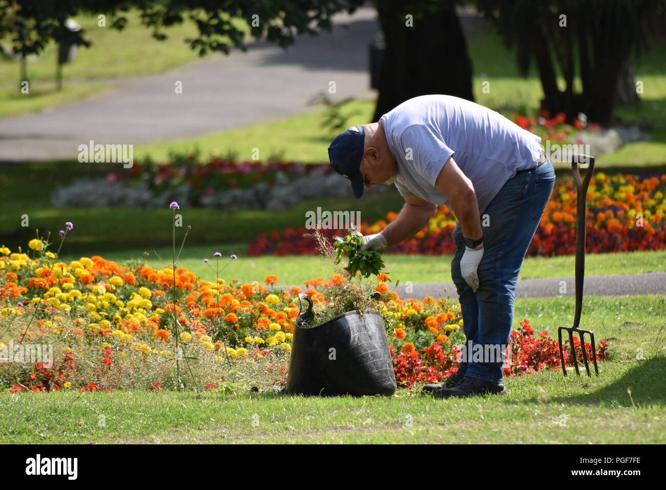 The prom gravesend -Fotos und -Bildmaterial in hoher Auflösung – Alamy