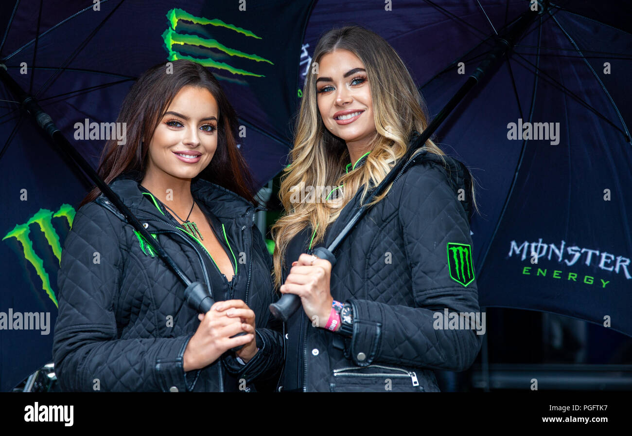 Monster energy grid girls -Fotos und -Bildmaterial in hoher Auflösung ...