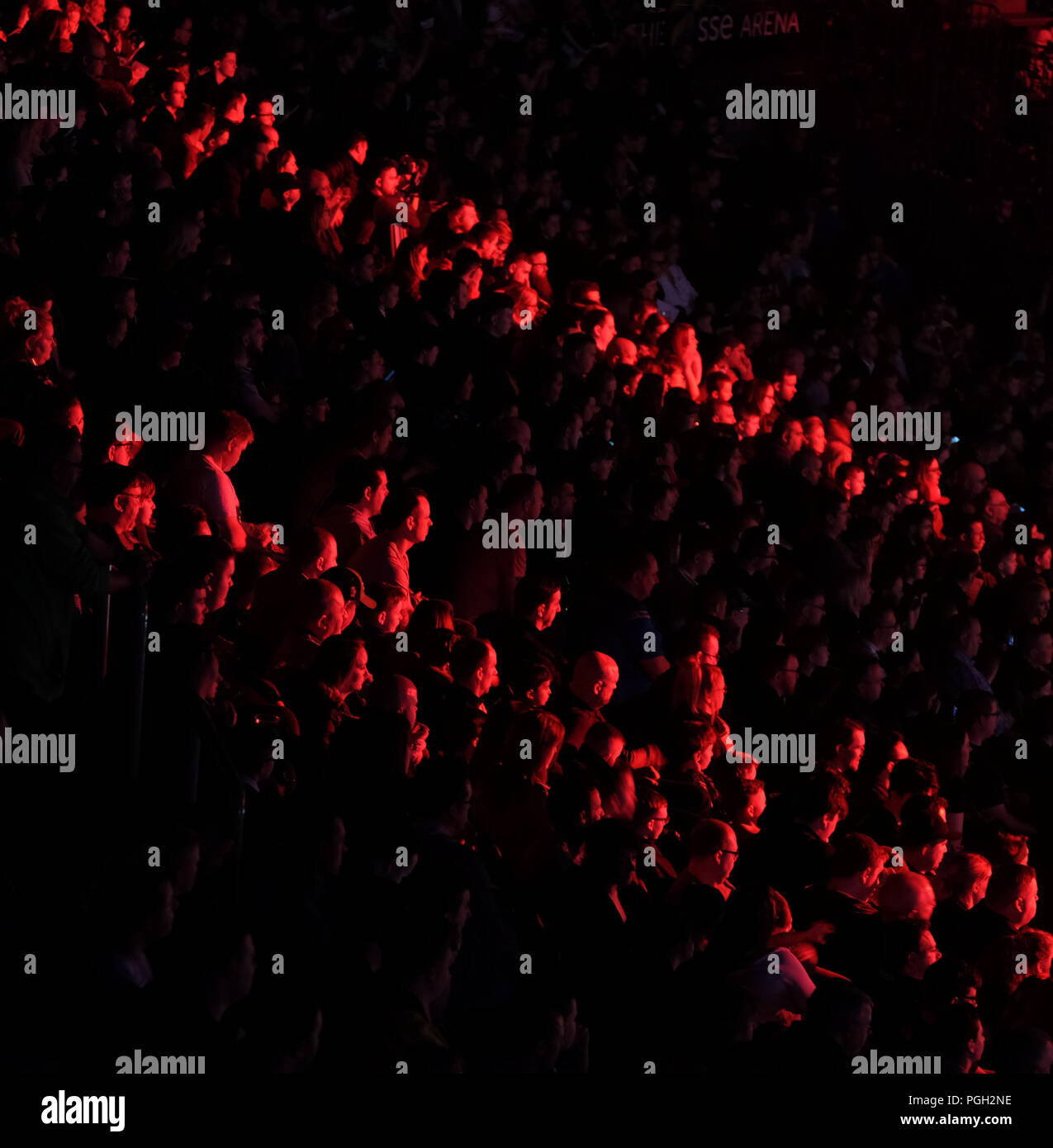 Arena fans publikum -Fotos und -Bildmaterial in hoher Auflösung – Alamy