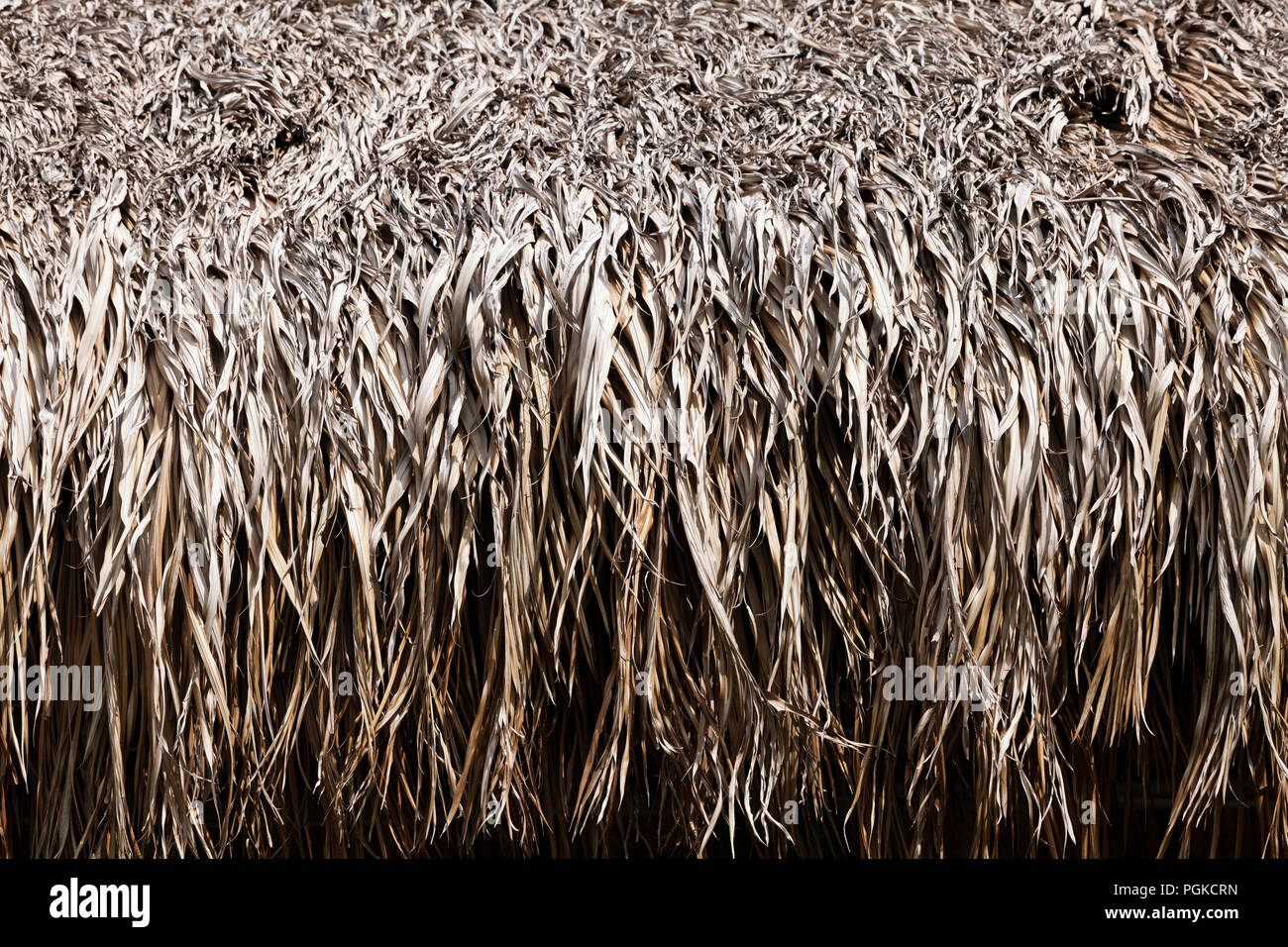 Thatch straw -Fotos und -Bildmaterial in hoher Auflösung – Alamy