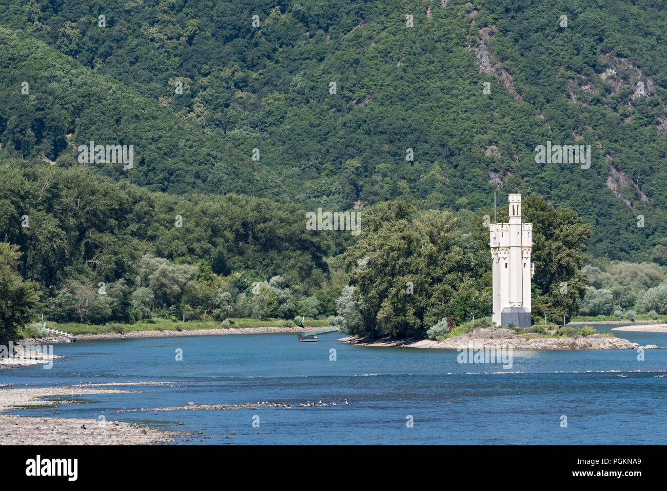 Der Binger Mäuseturm, Mauseturm auf einer kleinen Insel im Rhein ...