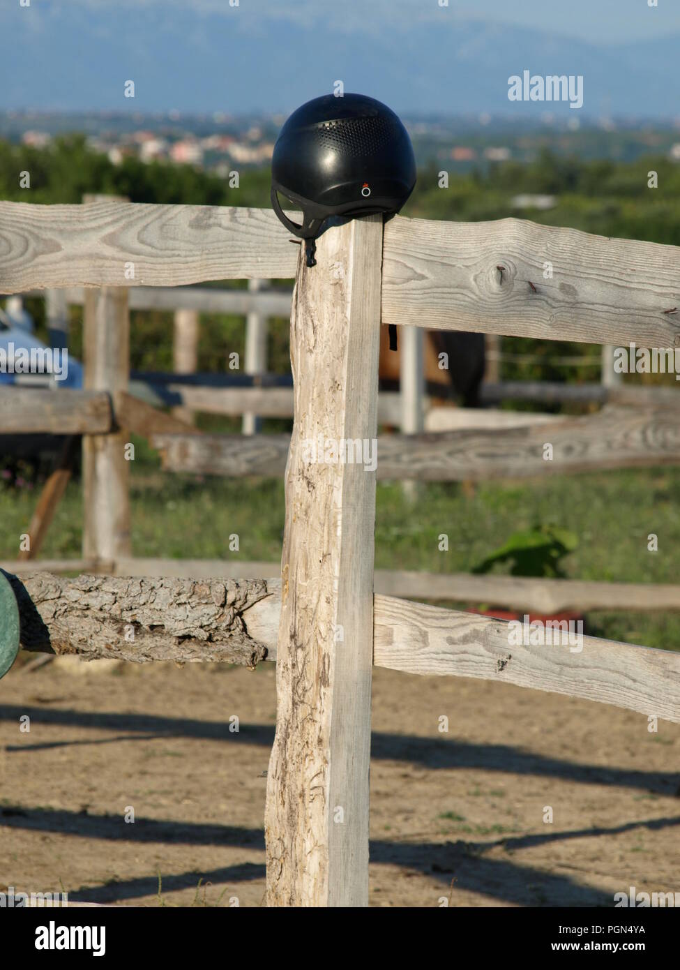 Pferd happy birthday -Fotos und -Bildmaterial in hoher Auflösung – Alamy