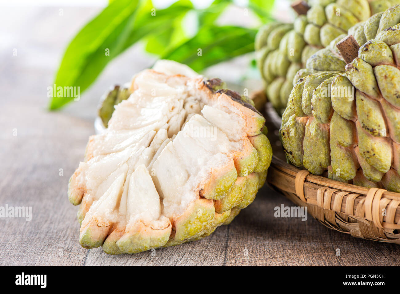 Squamosa zucker apfel sweetsop squamosa -Fotos und -Bildmaterial in ...
