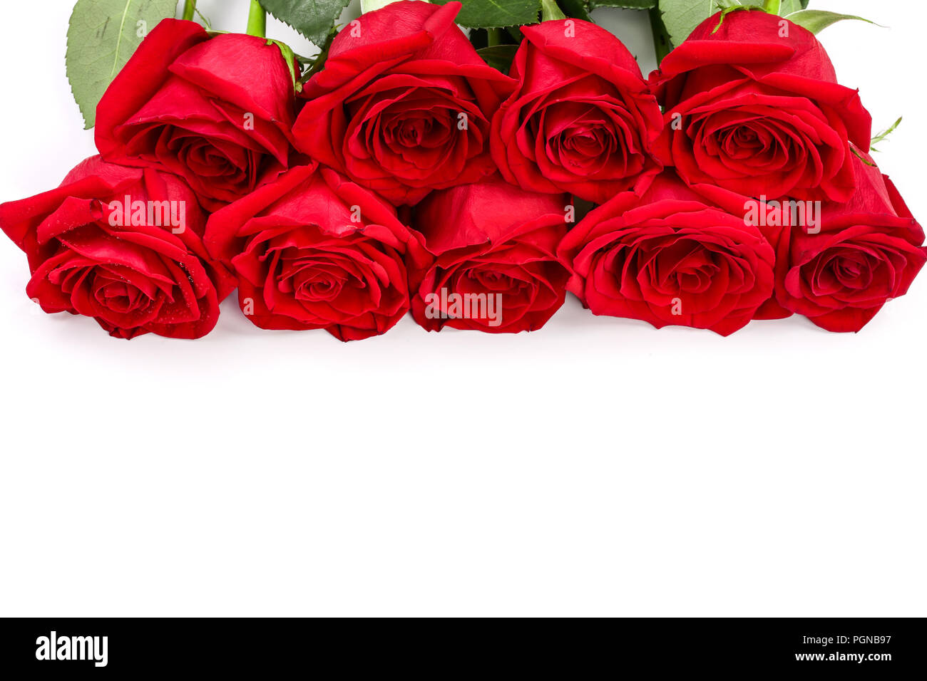 Die neun blatt karte -Fotos und -Bildmaterial in hoher Auflösung – Alamy