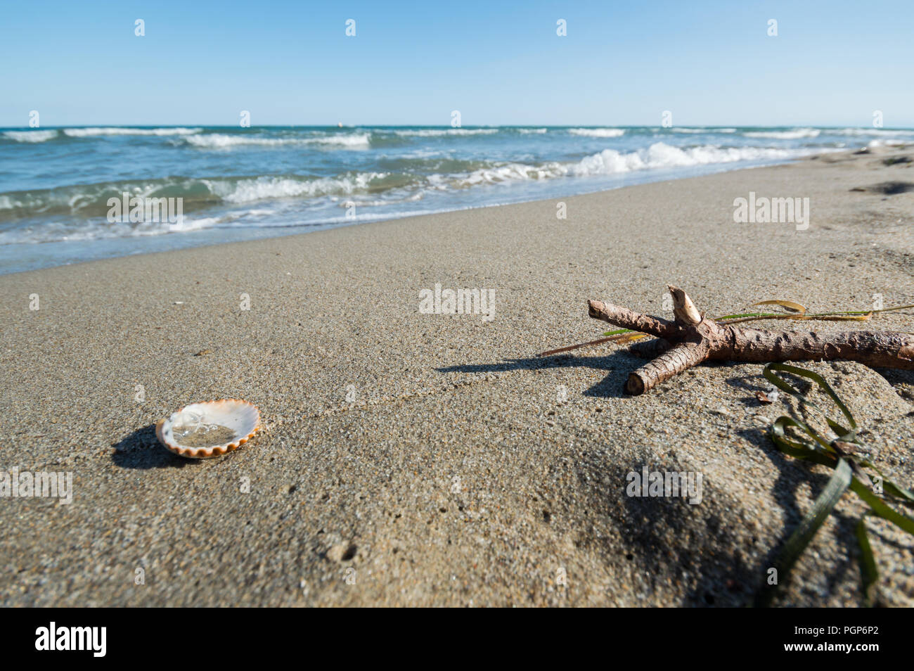 Basilicata italy metaponto beach -Fotos und -Bildmaterial in hoher ...