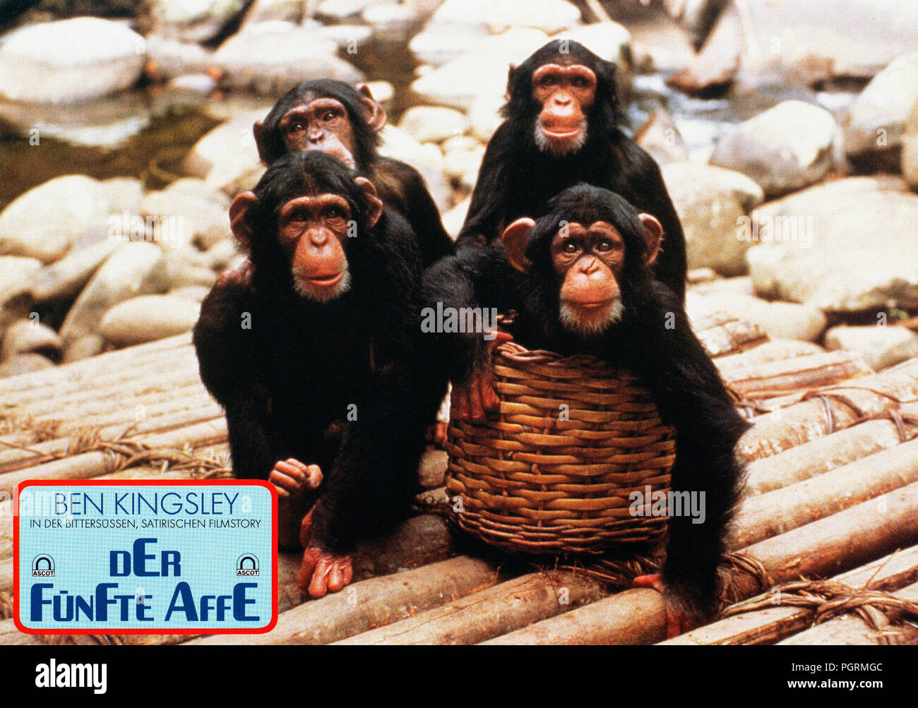 O Quinto Macaco, aka: Die fünfte Affe, aka: Der fünfte Affe, Brasilien ...