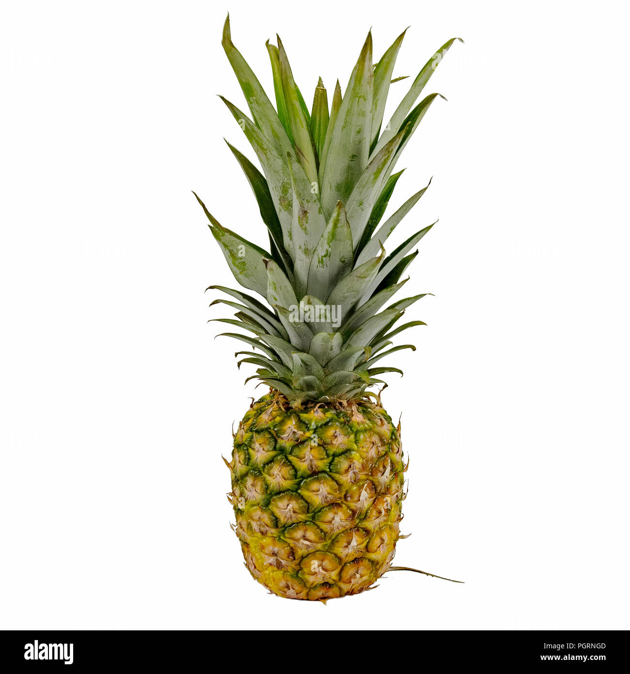 Ananas kunst -Fotos und -Bildmaterial in hoher Auflösung – Alamy