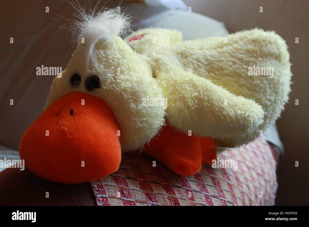 Ente gelb -Fotos und -Bildmaterial in hoher Auflösung – Alamy