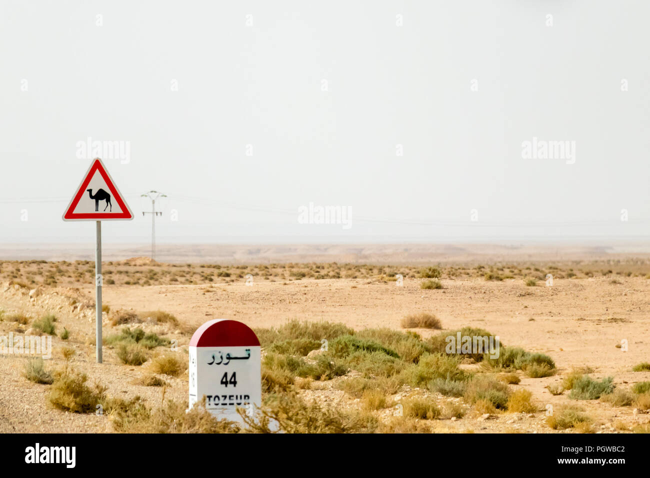 Road sign warning camels crossing -Fotos und -Bildmaterial in hoher ...