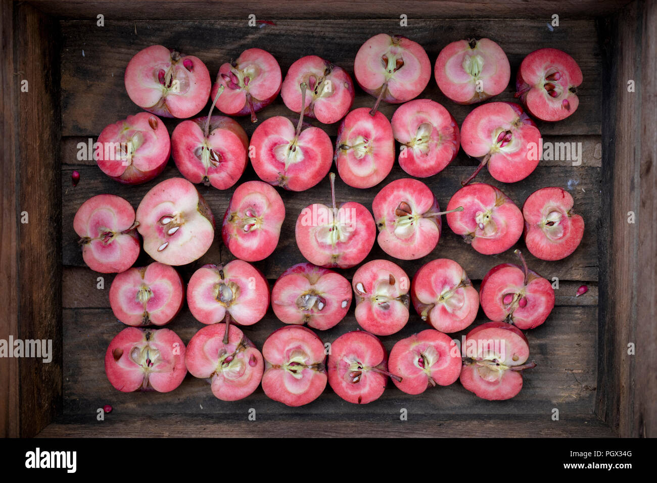 Malus Domestica. Apple' Redlove Era'. Redlove era geernteten Äpfel in ... Malus Domestica. Apple' Redlove Era'. Redlove era geernteten Äpfel in ...