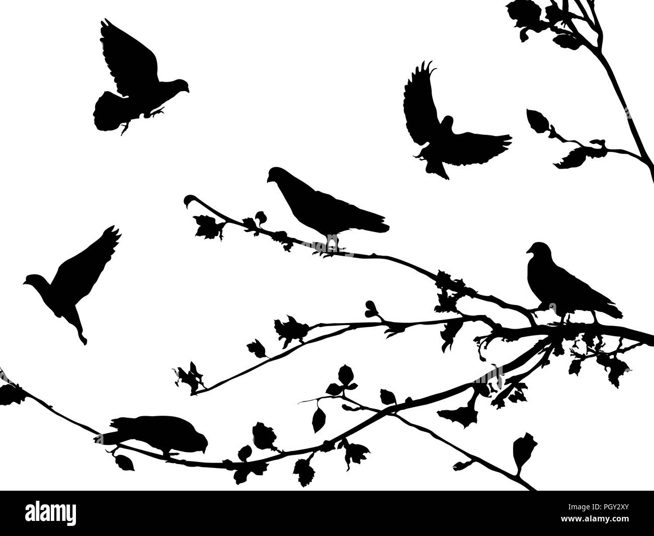 Tauben hintergrund Stock-Vektorgrafiken kaufen - Alamy