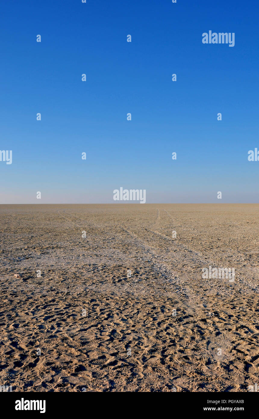 Sand, Salz und wildllife - Spuren in der trockenen Savanne mit endlosen ...