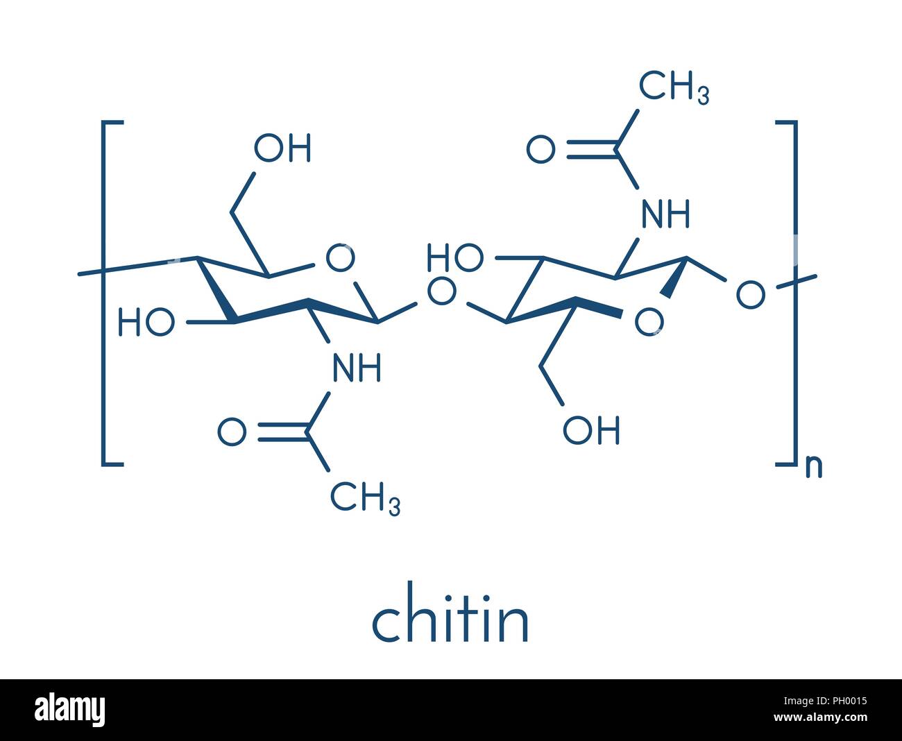 Chitin, chemische Struktur. Chitin ist ein Polymer von N ...