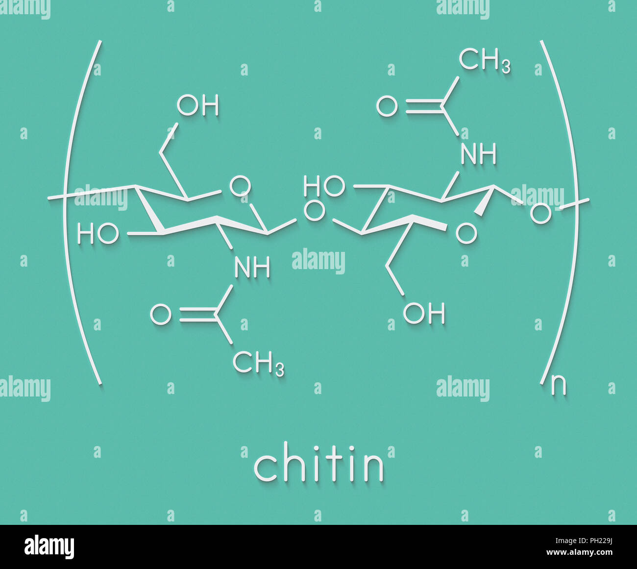 Chitin, chemische Struktur. Chitin ist ein Polymer von N ...