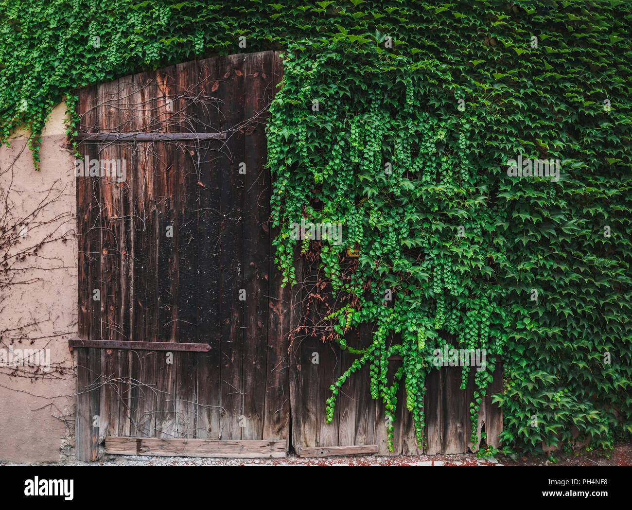 Hölzernes Ranch Tor Stockfotos und -bilder Kaufen - Alamy
