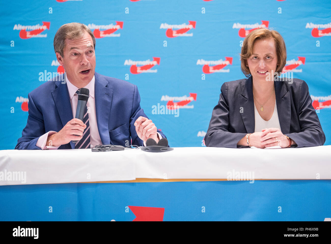 Nigel farage afd -Fotos und -Bildmaterial in hoher Auflösung – Alamy