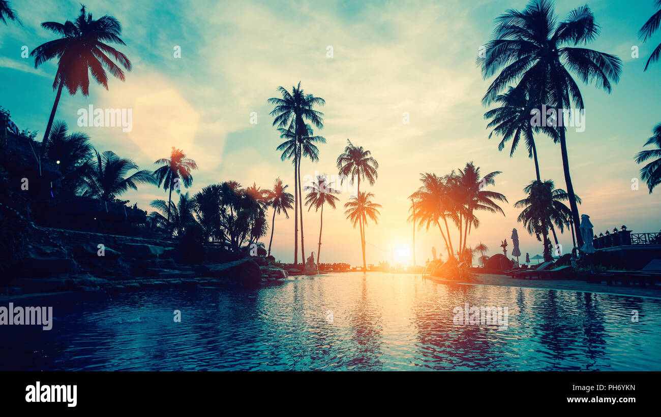 Sonnenuntergang auf der Palme Küste Meer in den Subtropen ...