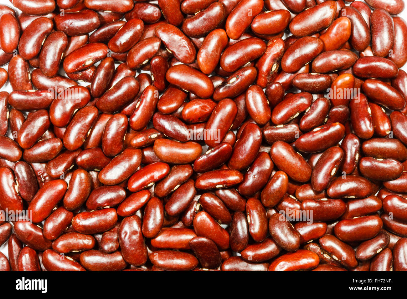 Rote kidneybohne -Fotos und -Bildmaterial in hoher Auflösung – Alamy