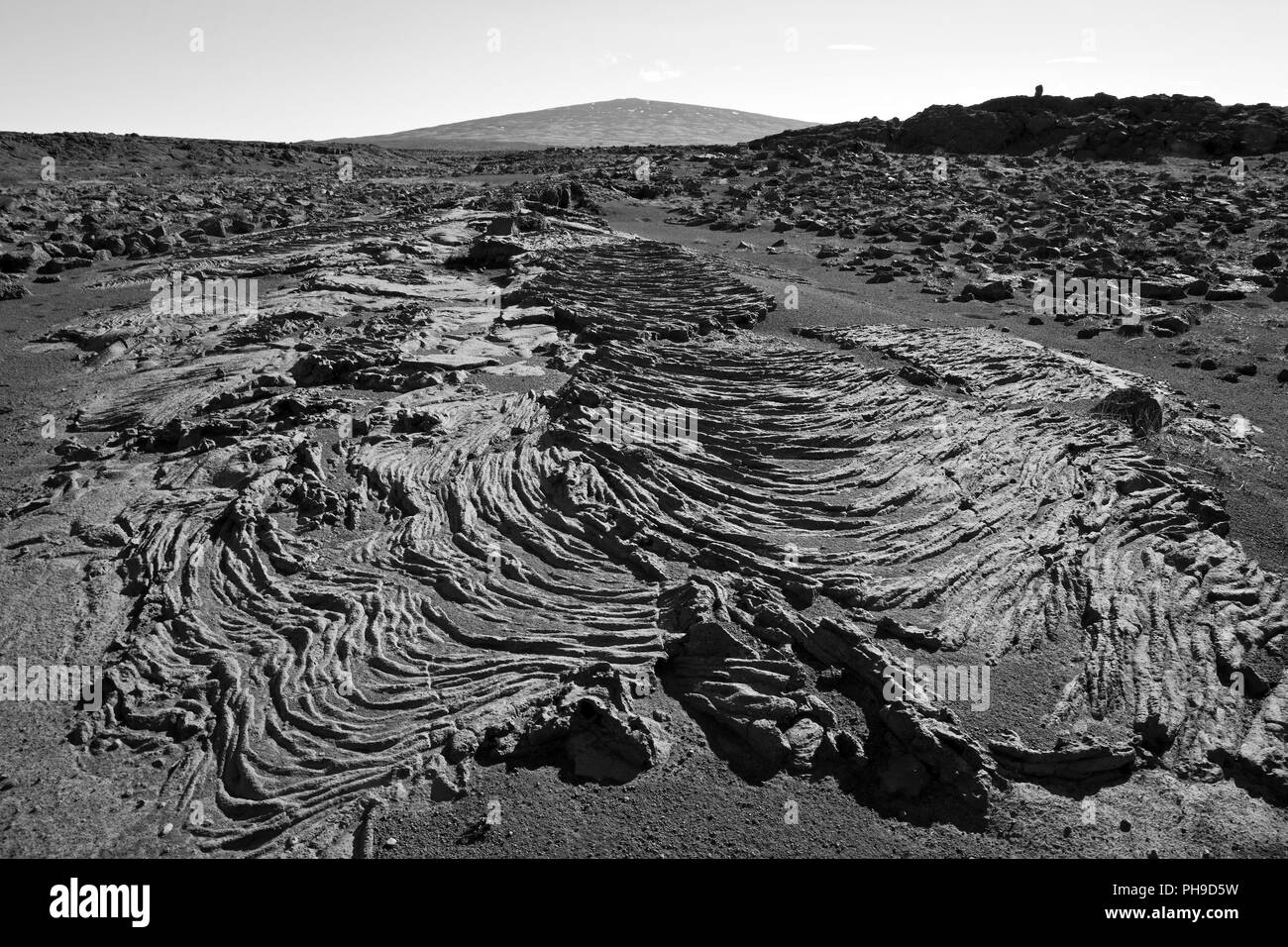 Pahoehoe-lava und schildvulkan Skjaldbreidur, Island Stockfotografie ...