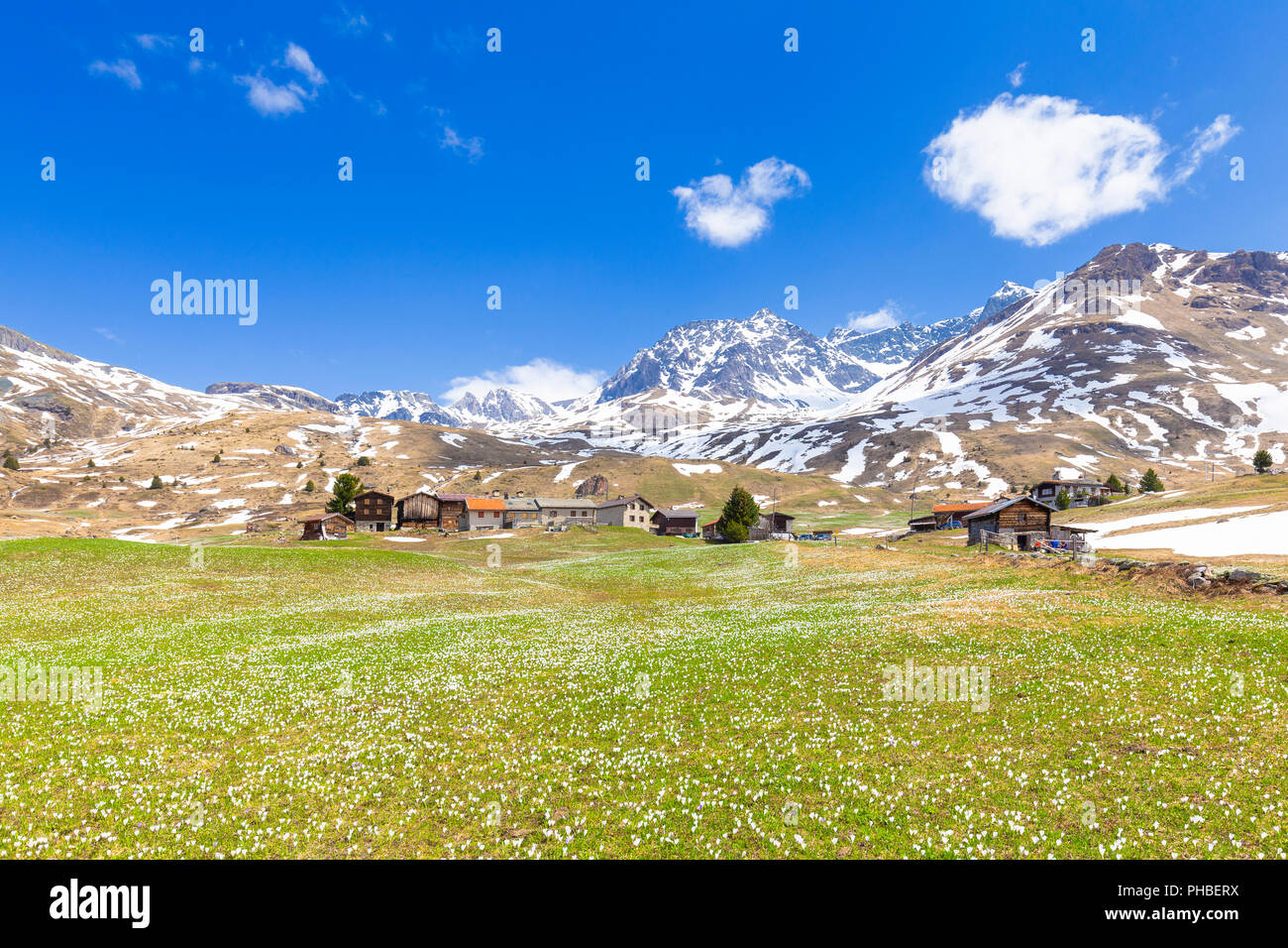 Alp flix -Fotos und -Bildmaterial in hoher Auflösung – Alamy