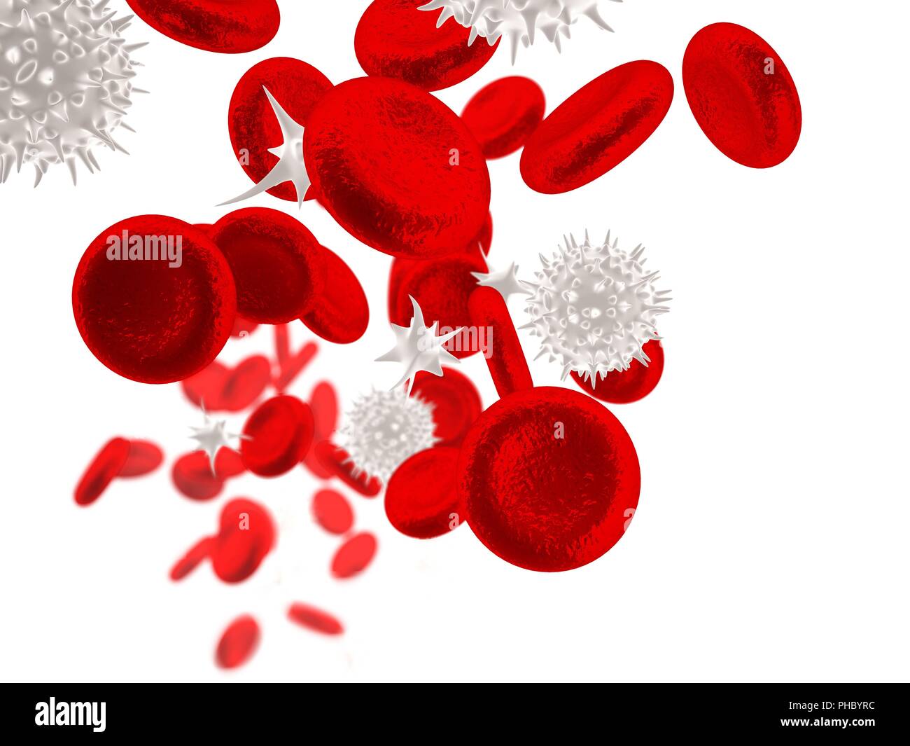 Menschliche Blutzellen, Illustration Stockfotografie - Alamy