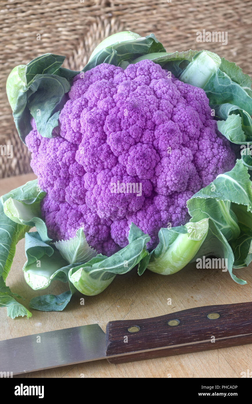 Lila blumenkohl -Fotos und -Bildmaterial in hoher Auflösung – Alamy