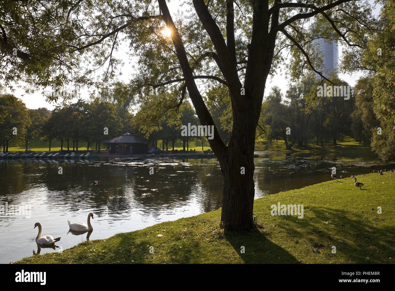 Rheinaue mit Post Tower, Bonn, Rheinland, Nordrhein-Westfalen ...