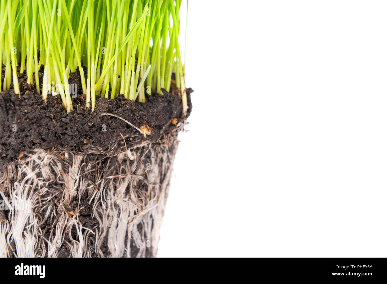 Cross section grass soil -Fotos und -Bildmaterial in hoher Auflösung ...