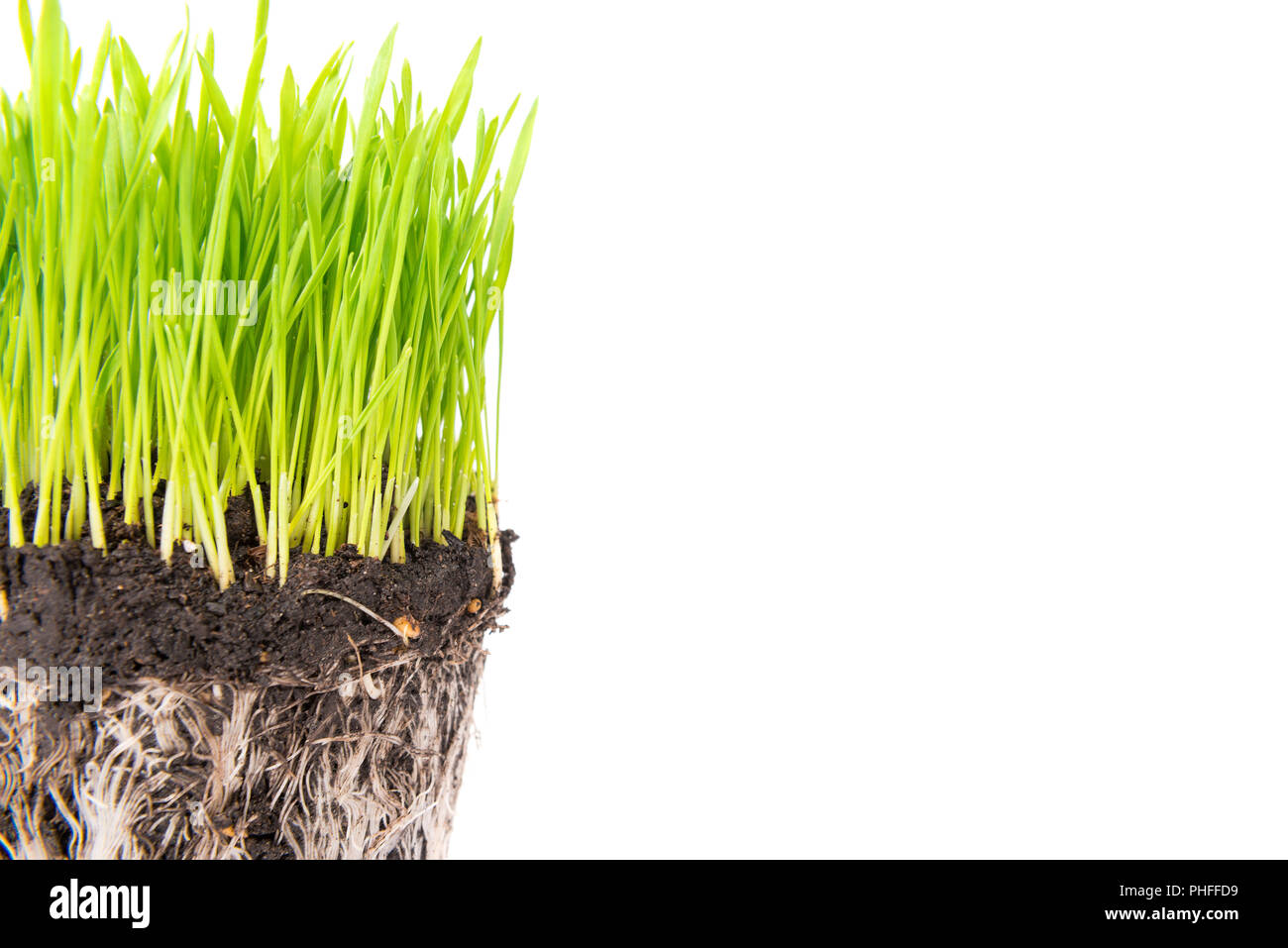 Cross Section Green Grass Underground Stockfotos und -bilder Kaufen - Alamy