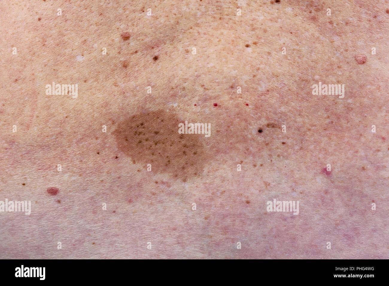 Grosse frau -Fotos und -Bildmaterial in hoher Auflösung – Alamy