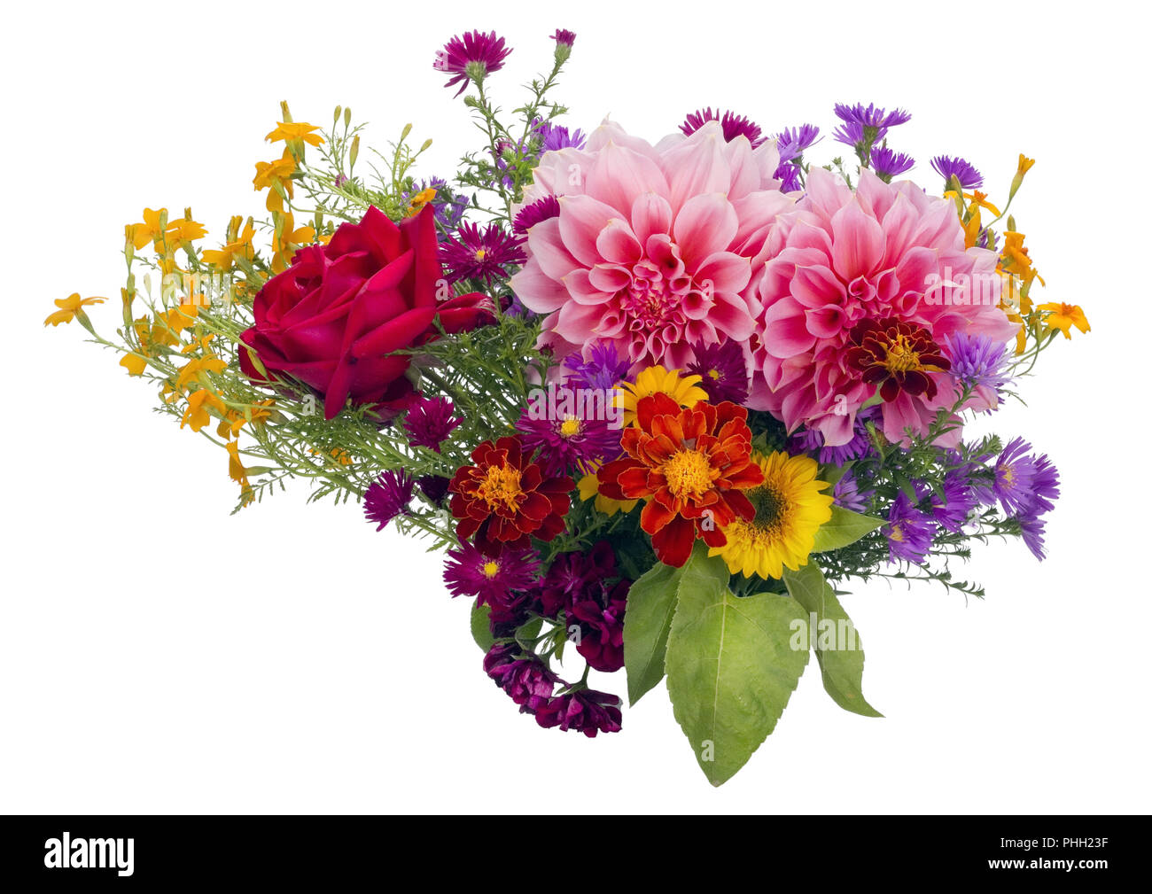 September blumen -Fotos und -Bildmaterial in hoher Auflösung – Alamy