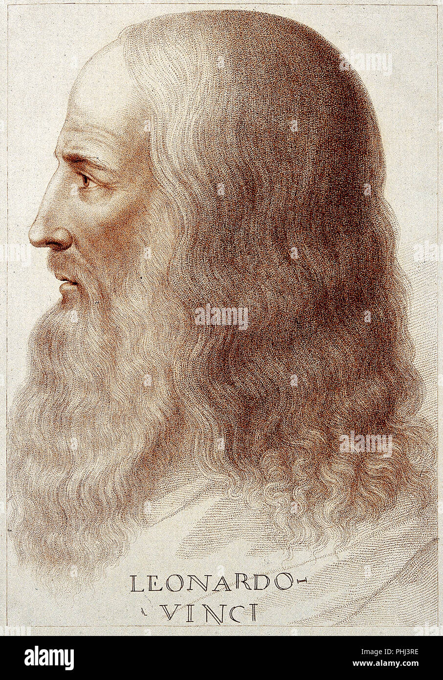 Leonardo Da Vinci Als Erfinder