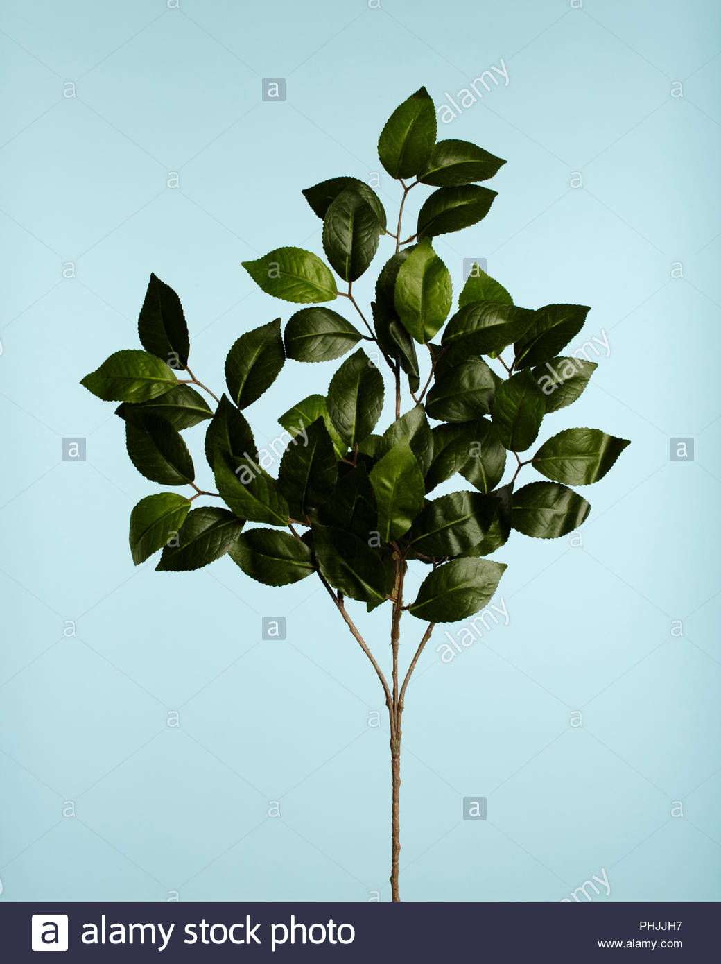 Vertikale Farbe Stockfotos und -bilder Kaufen - Alamy