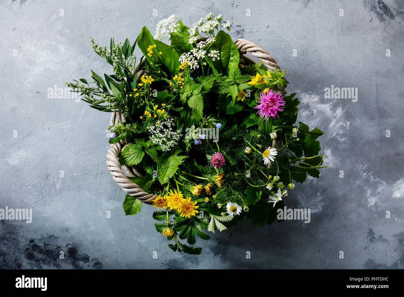 Wildes Wiesenleben Stockfotos und -bilder Kaufen - Alamy