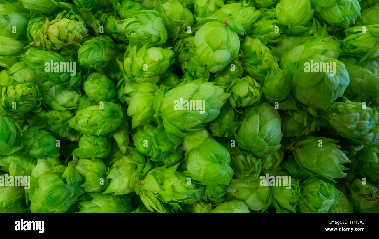 Malz Trocknet Stockfotos und -bilder Kaufen - Alamy