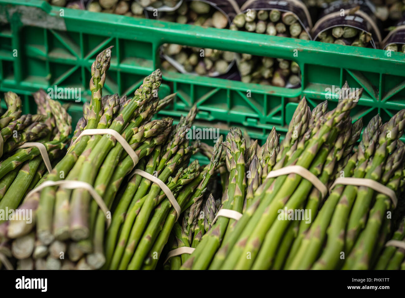 Bündeln der Spargel zum Verkauf Stockfotografie - Alamy