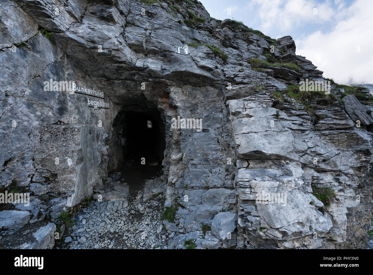 Tunnel In Der Nahe