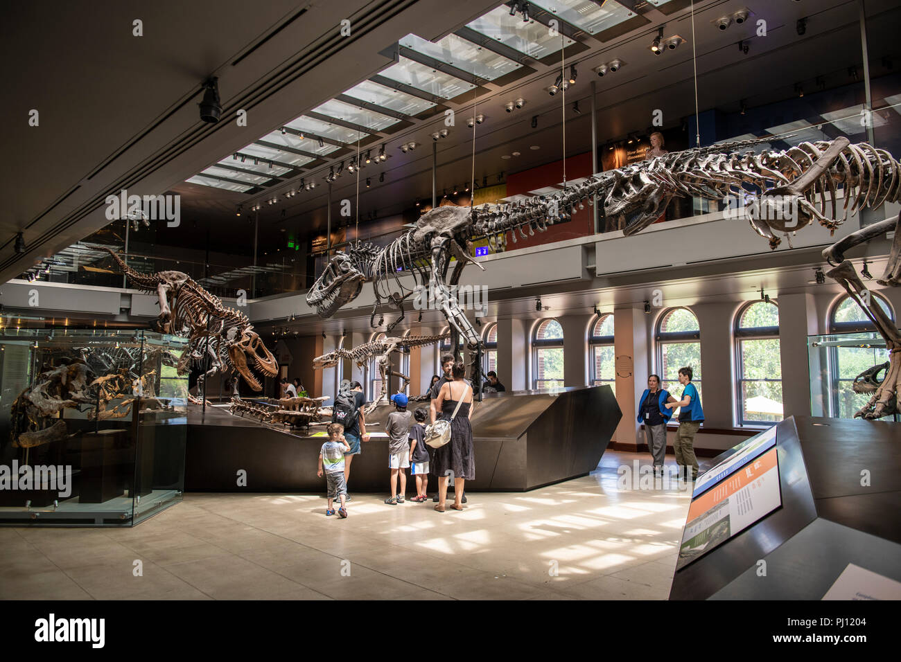 Das Natural History Museum von Los Angeles County ist der grösste ...