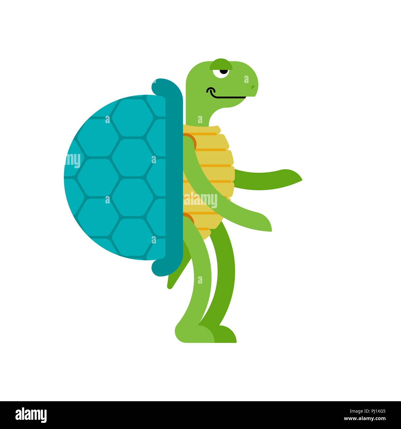 Schildkröte Cartoon Stil isoliert. Schildkröte Vector Illustration ...