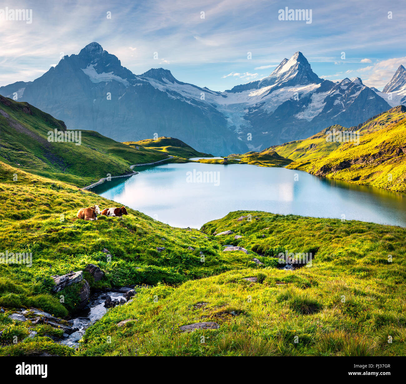 Wetterhorn und Wellhorn peaks über Bachsee See. Farbenfrohe Sommer ...